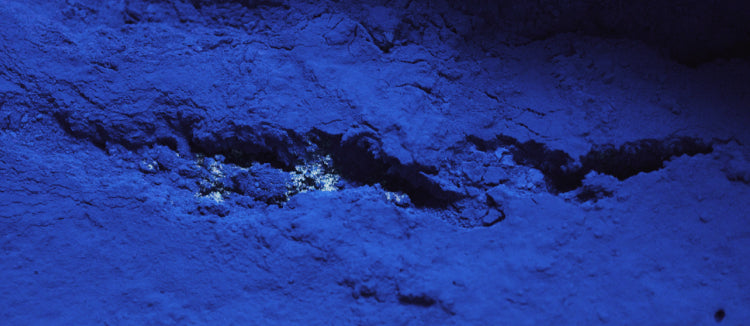 Eco-Indigo Collection – Citizens of Humanity