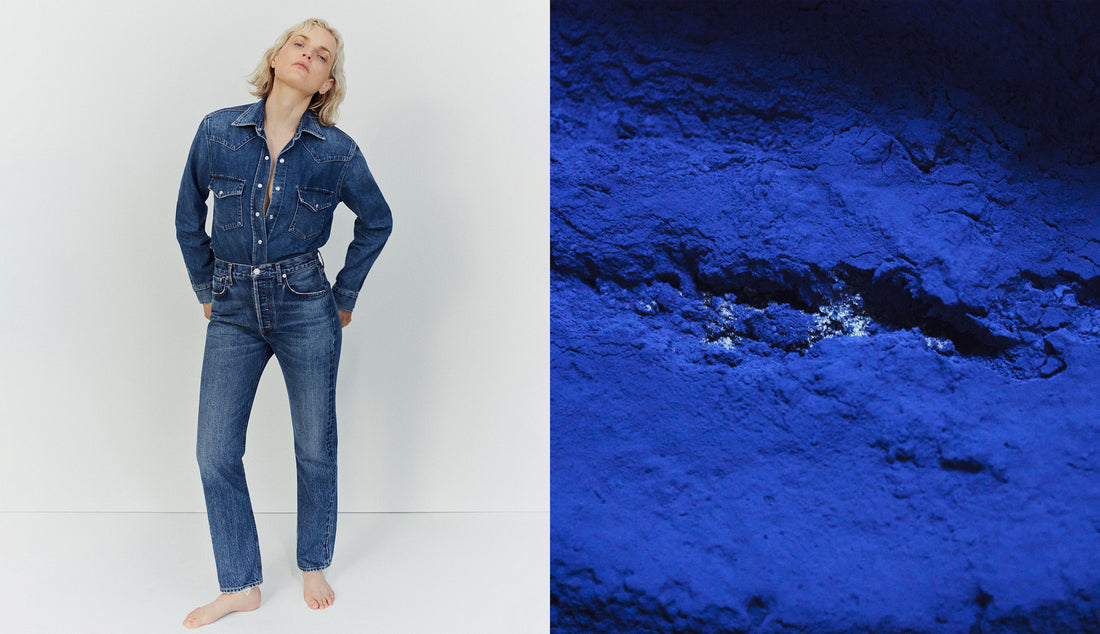 ECO-INDIGO – Citizens of Humanity